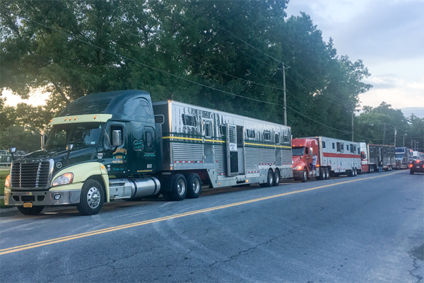 National Horse Carriers Association Members Transport Hundreds of Race ...