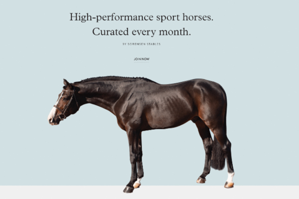 Important FEI Rider Updates - Phelps Media Group