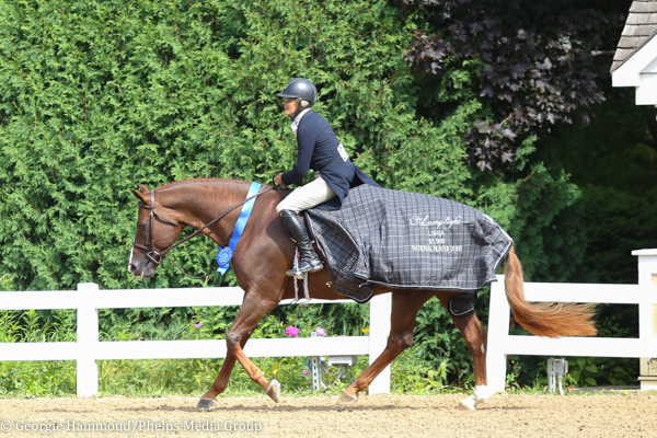 Holly Shepherd Claims $5,000 National Hunter Derby at Equifest I for ...