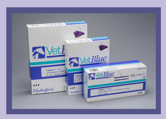 Wound Care Made Easy with VetBlue - Phelps Media Group