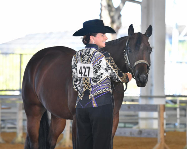 Florida Gold Coast Quarter Horse Circuit Named Top AQHA Show of 2020 ...