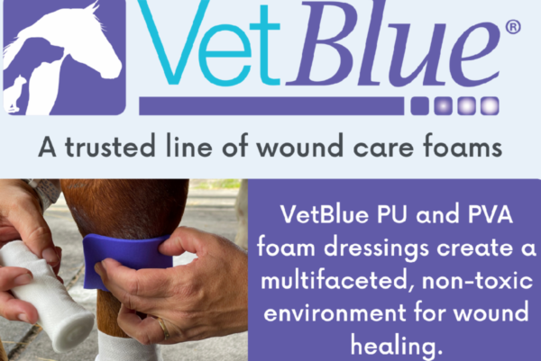 Which VetBlue product foam is right for you? - Phelps Media Group