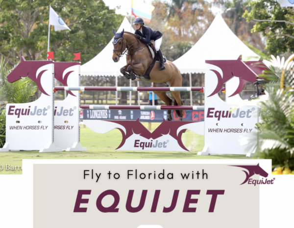The Time Is Now: Ship Your Horse Internationally with EquiJet This ...
