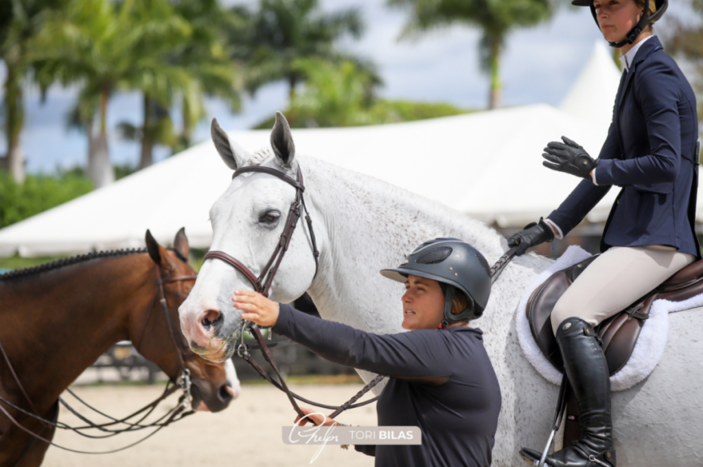 Victoria Colvin, LLC Celebrates Another Successful Winter Equestrian ...