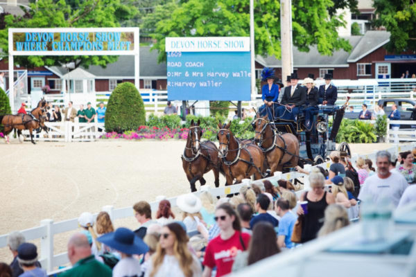 Famed Coaching Division Set to Return to Devon Horse Show and Country ...