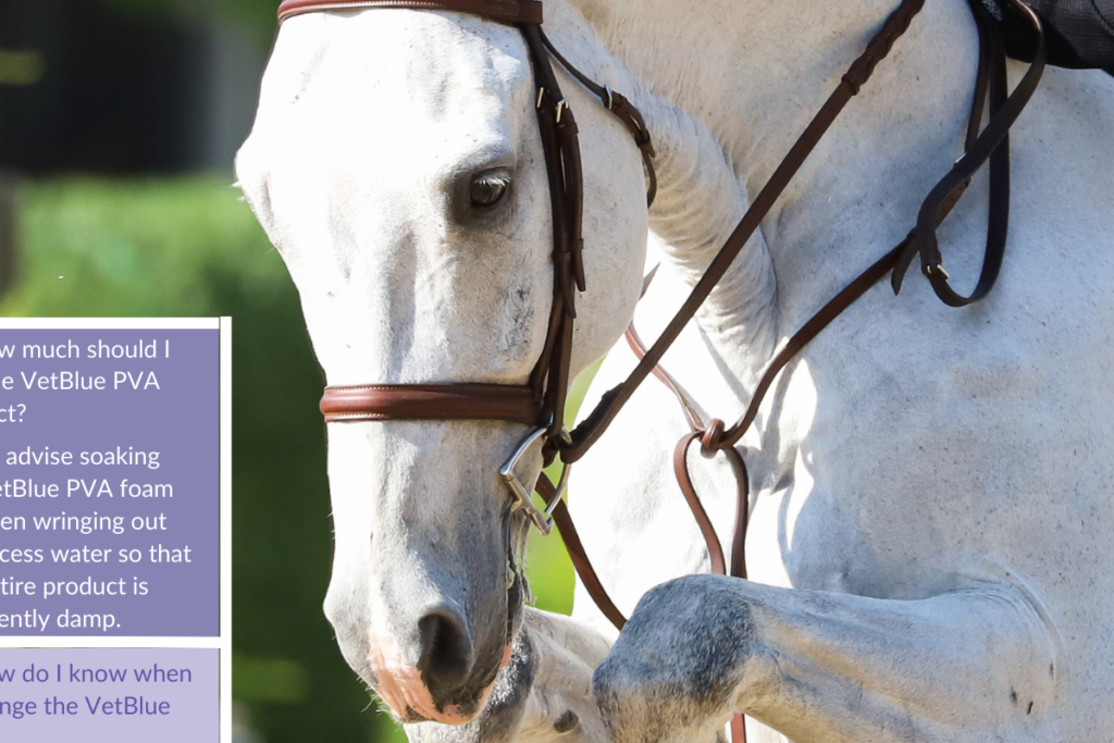 A Few Frequently Asked Questions About VetBlue - Phelps Media Group