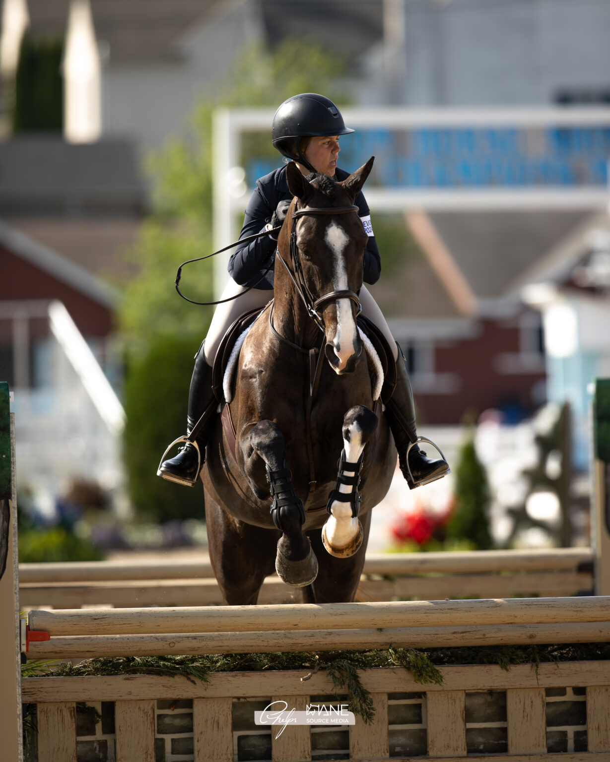 2024 Devon Equitation Champion | Phelps Media Group