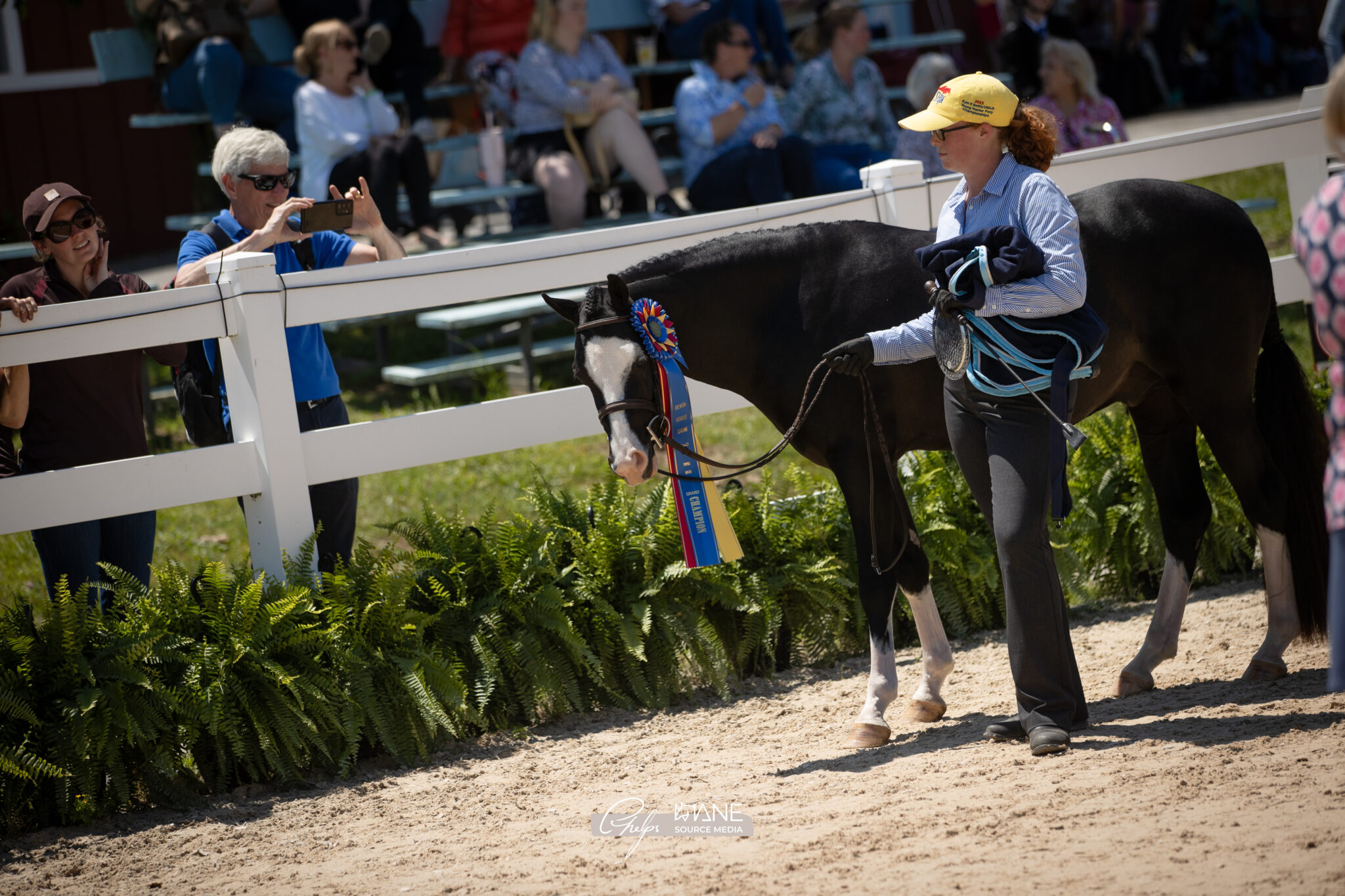 Devon Daily - May 22, 2024 - Devon Horse Show