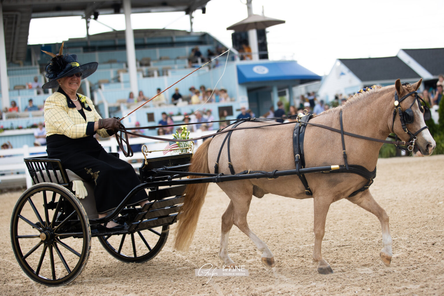 Devon Daily - May 26, 2024Carriage Pleasure Drive - Devon Horse Show