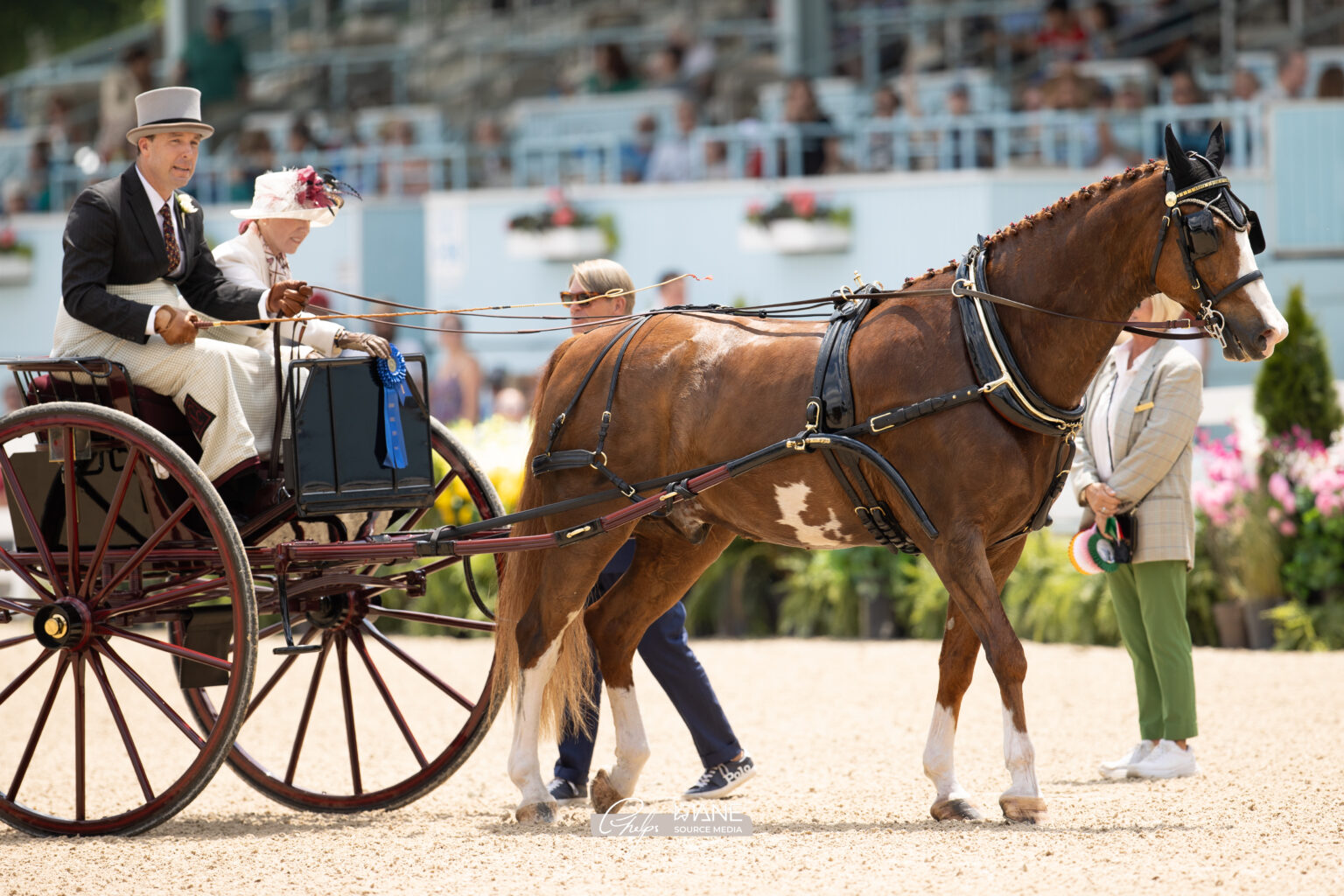 Devon Daily - May 26, 2024Carriage Pleasure Drive - Devon Horse Show