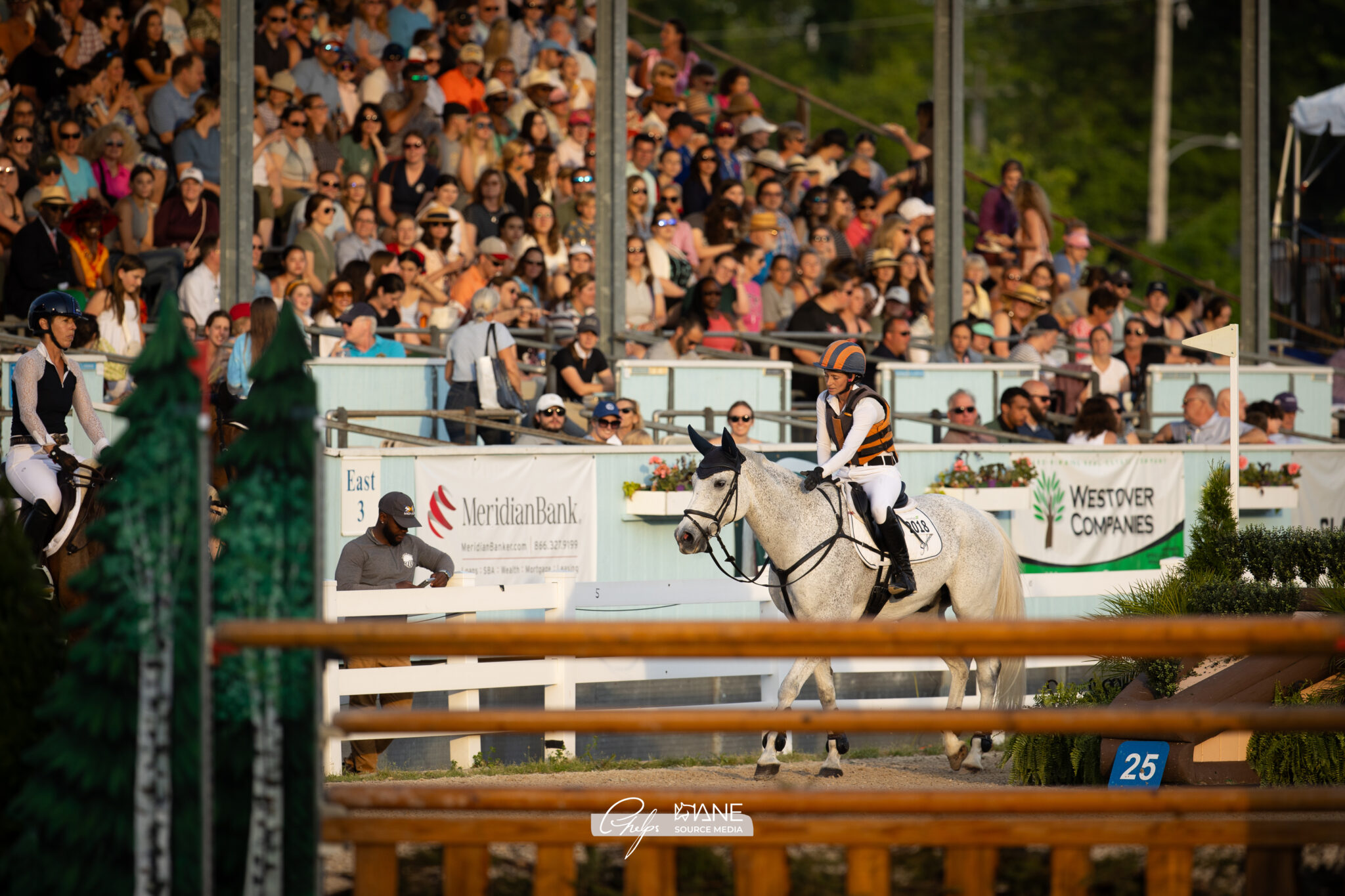 Boyd Martin and Miss Lulu Herself Top $50,000 Devon Arena Eventing ...