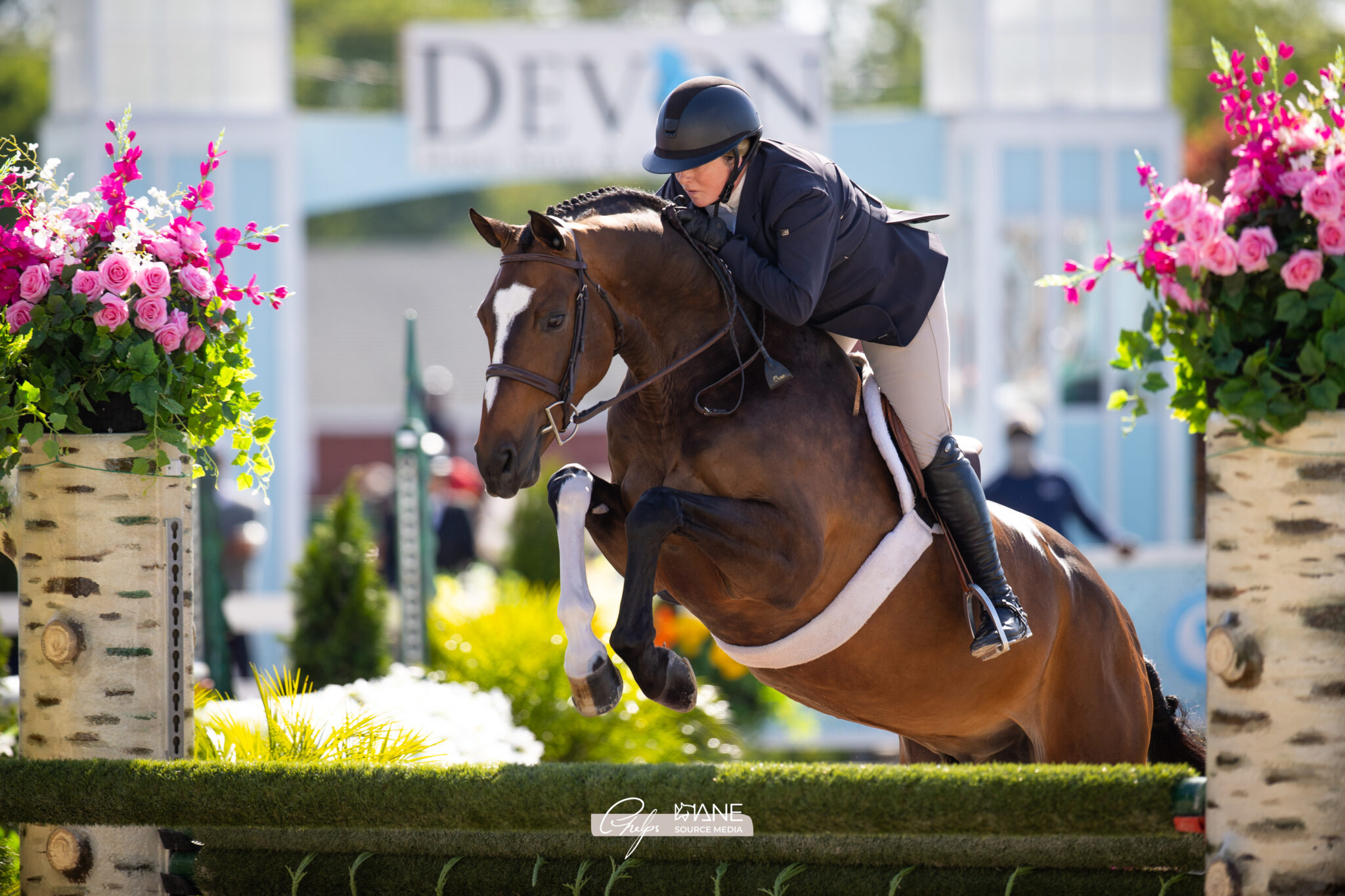 Green Hunter Champions Crowned at Devon | Phelps Media Group