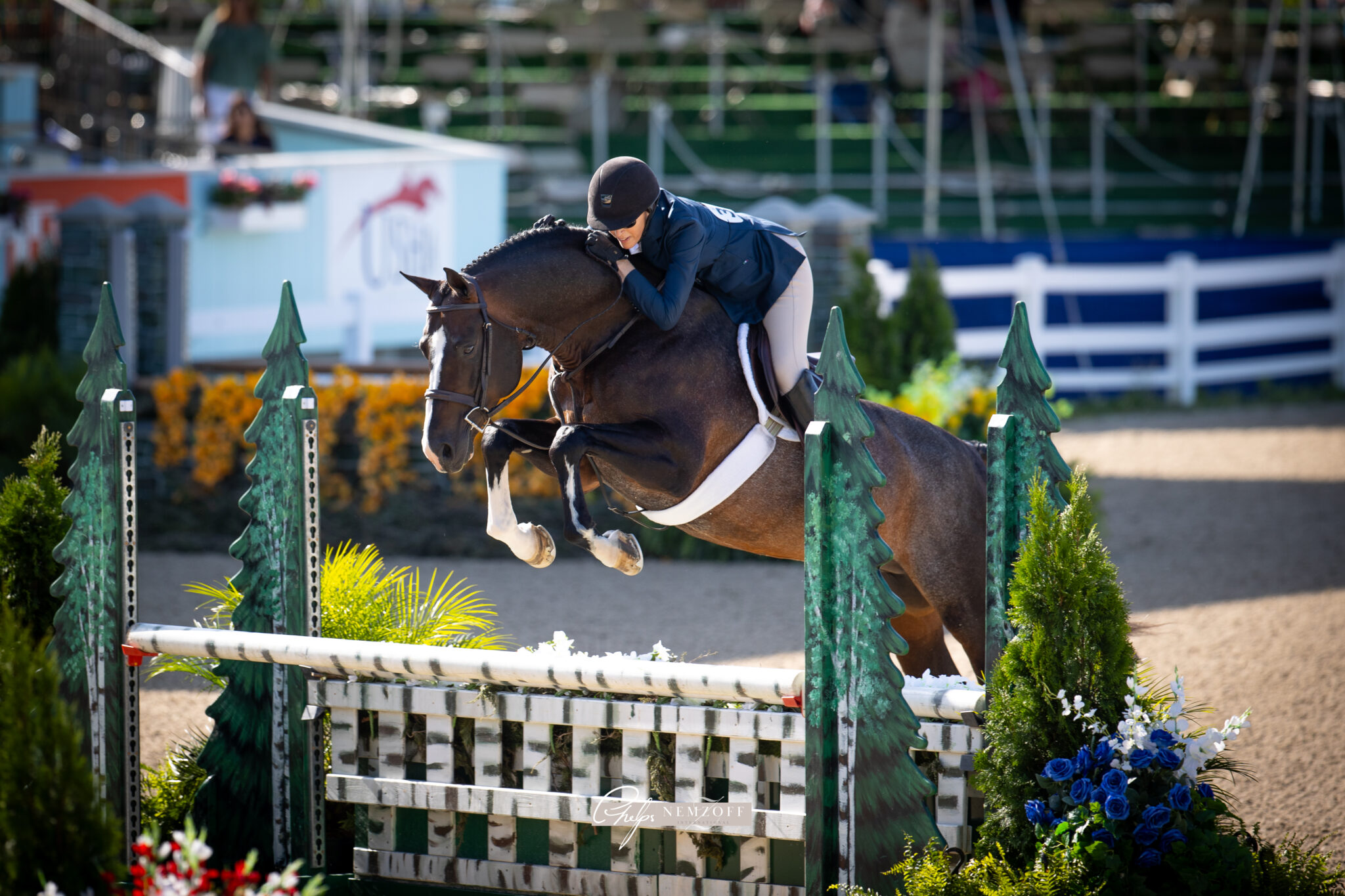 Green Hunter Champions Crowned at Devon - Phelps Media Group