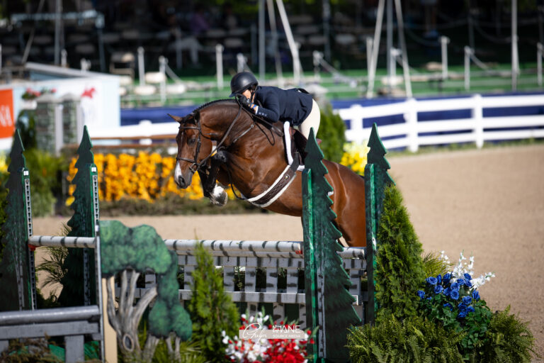 Green Hunter Champions Crowned at Devon | Phelps Media Group