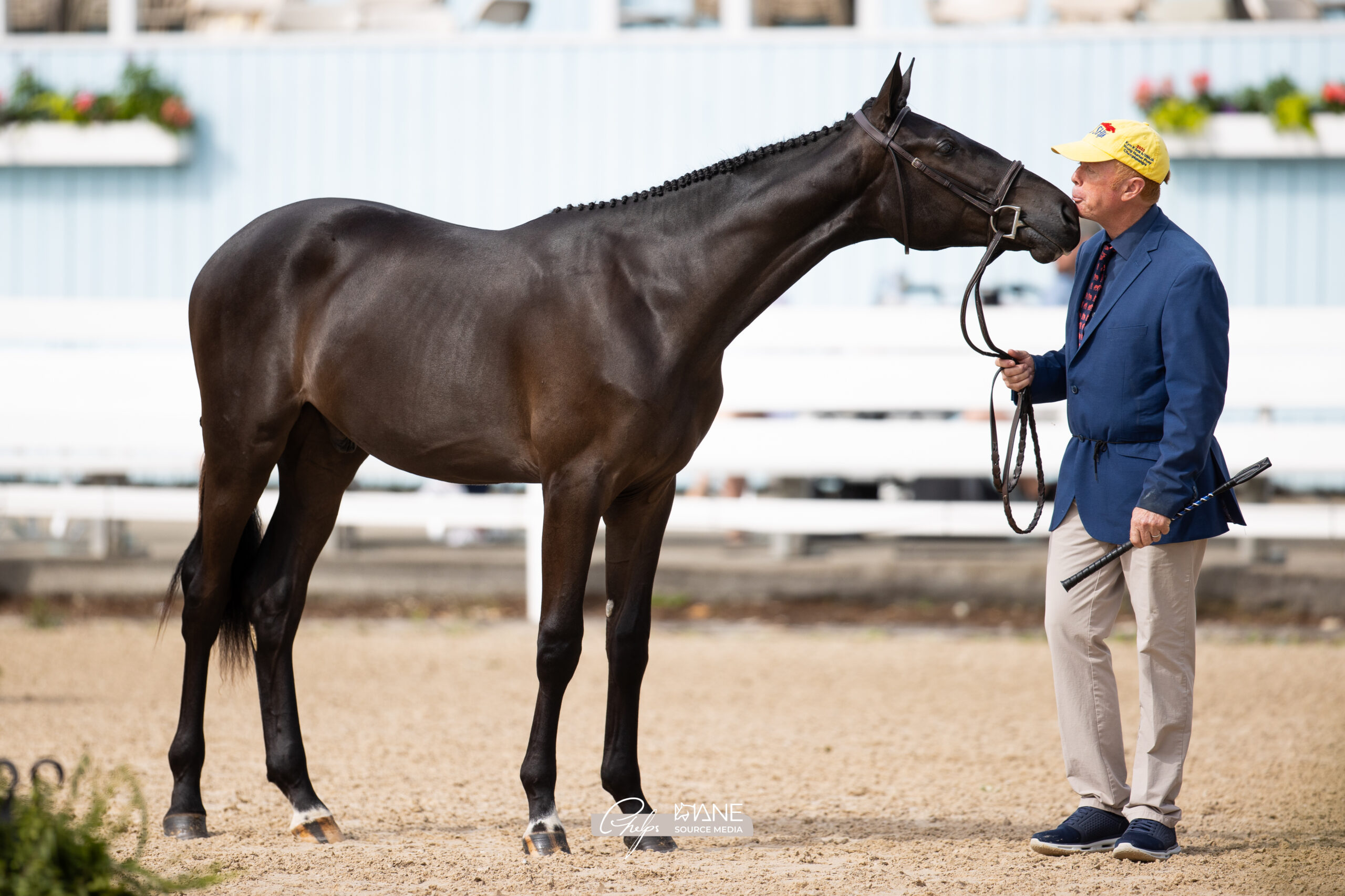 Phelps Sports - Phelps Media Group